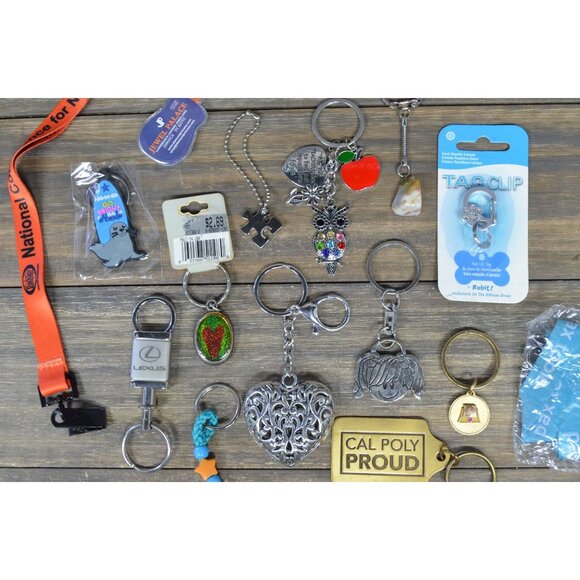 Accents | Random Keychain Lot Acute Care Lanyard Other Cal Heart Girl ...